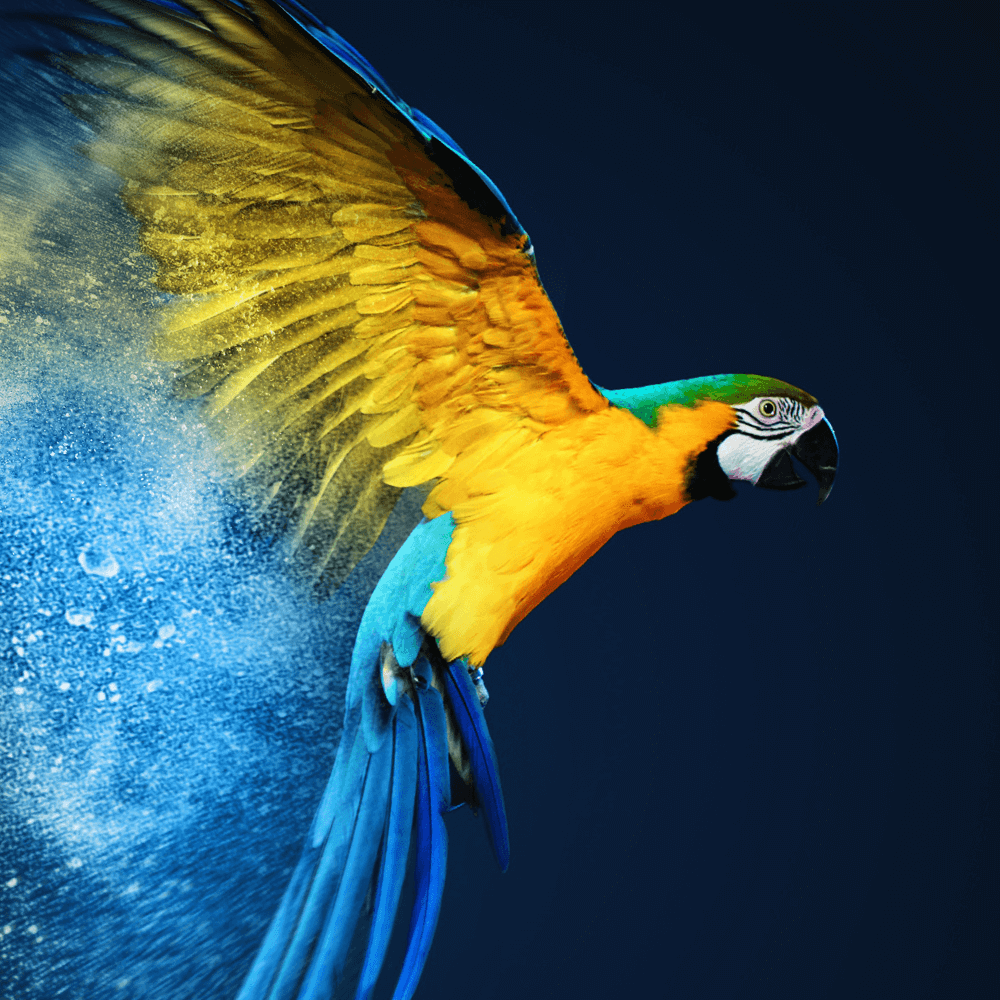 Kurs Adobe Photoshop CC Zaawansowany Strefakurs w pl Kursy I kurs-adobe-photoshop-cc-zaawansowany-strefakurs-w-pl-kursy-i